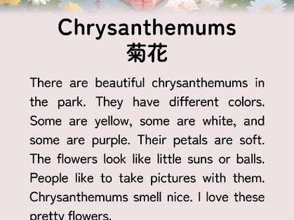 菊花为什么叫chrysanthemum图标
