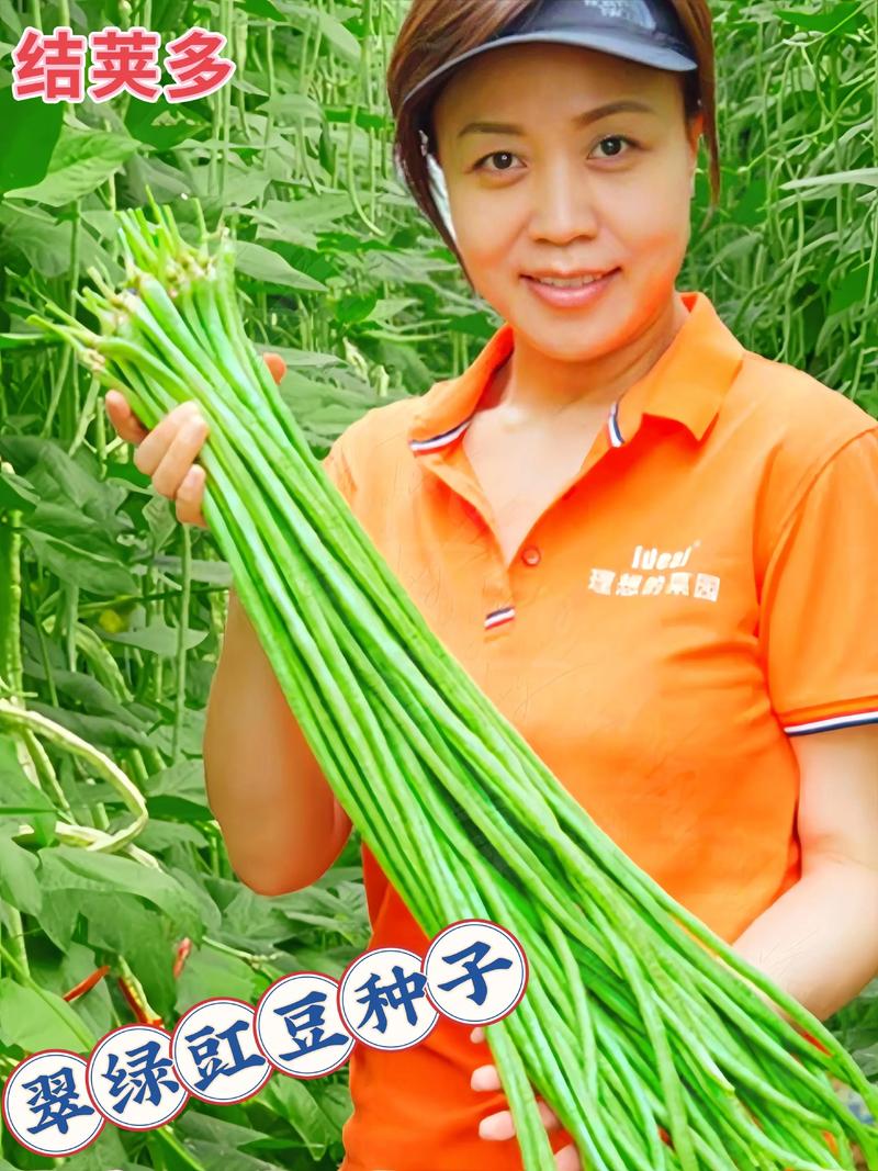 怎么查浙江农信丰收豆截图