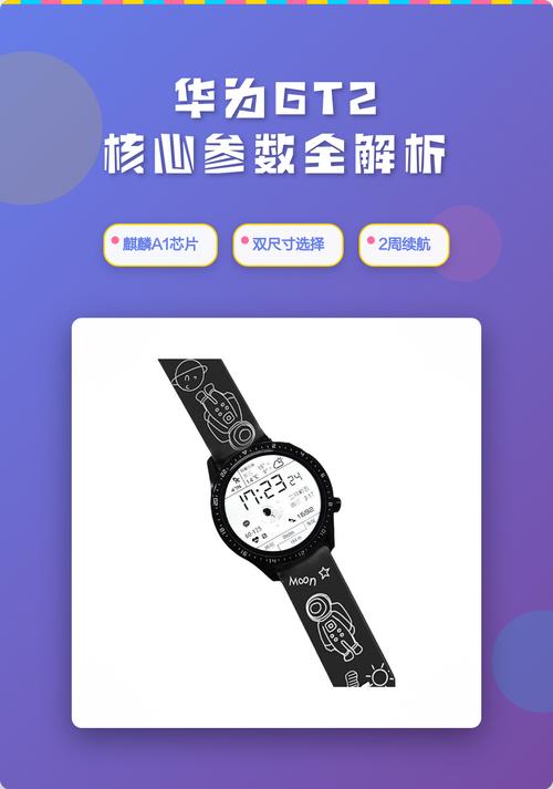 华为GT2新年版参数图标