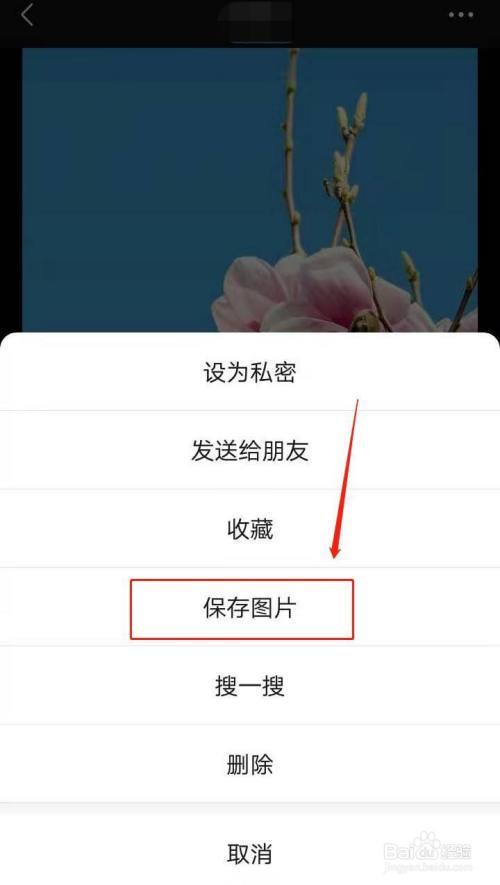 朋友圈保存别人的图片图标