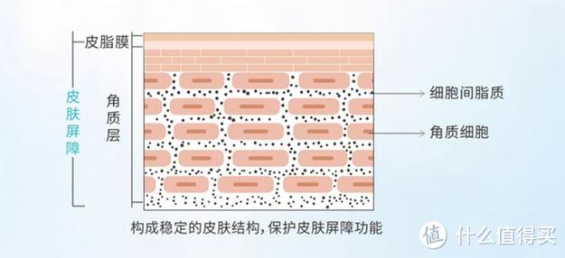 皮肤屏障受损泛红要多久才能恢复好图标