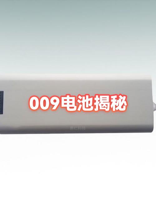 电池里的白色东西是什么图标