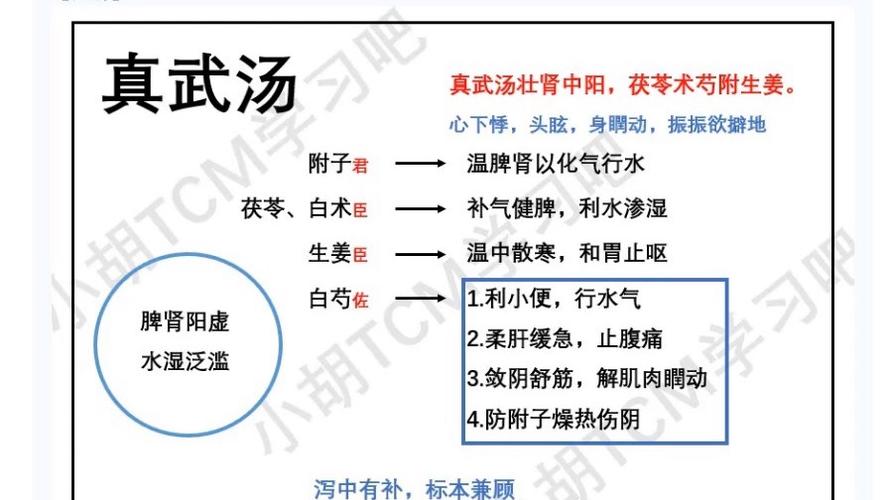 李可真武汤的配方图标
