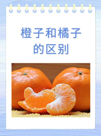 柑橘是热性还是凉性图标