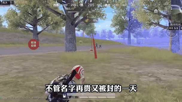 吃鸡可以改的单字id图标
