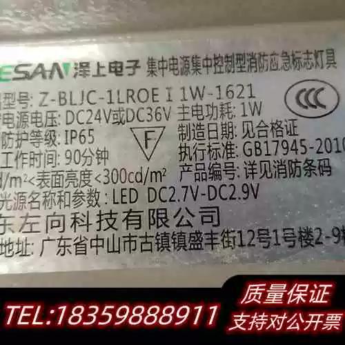 泽上电子消防应急照明灯具图标