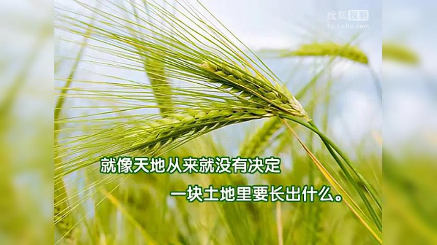 让世界因我而美丽歌词歌谱图标