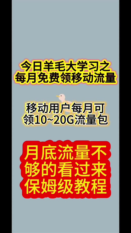 不到月底把流量用完了怎么办截图