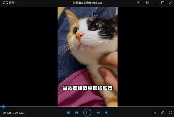 西瓜视频怎么登录抖音图标