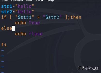 gg代码怎么写成脚本图标