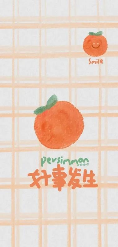 最火壁纸锁屏和主屏一样图标