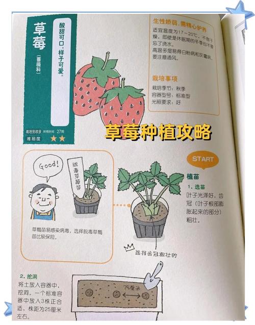 草莓应该怎么摘图标