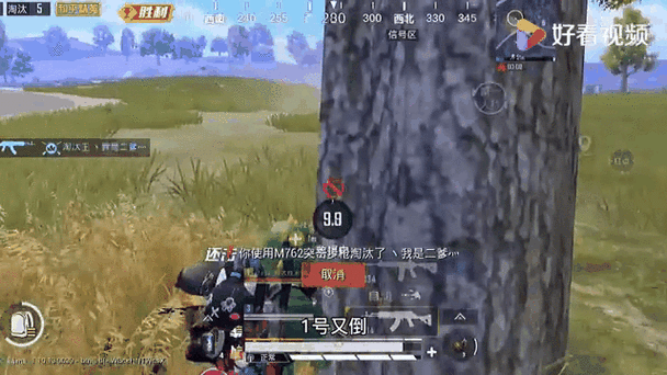 和平精英能扶敌人吗截图