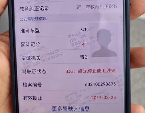 查我的驾驶证图标