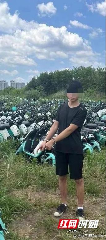 偷电动自行车判几年图标