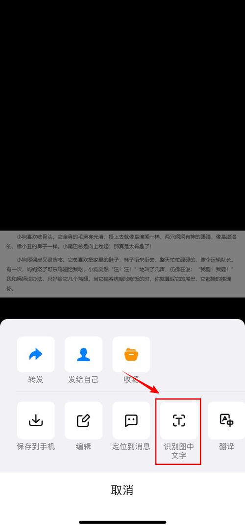 钉钉如何识别图片文字缩略图