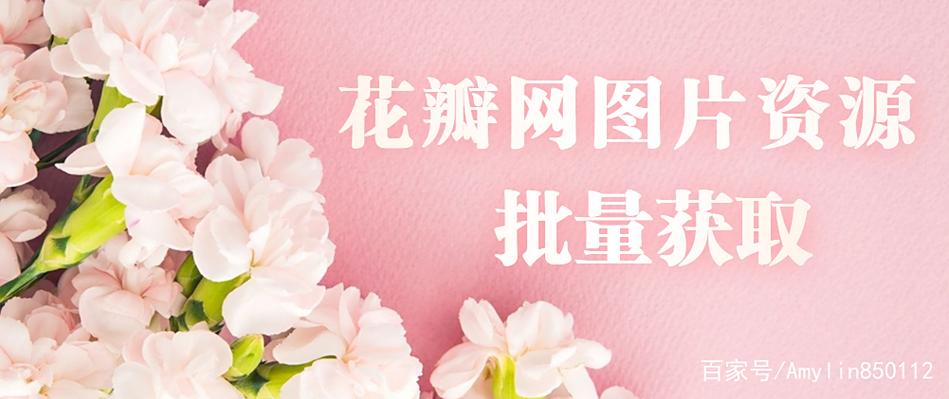花瓣网官网下载图标