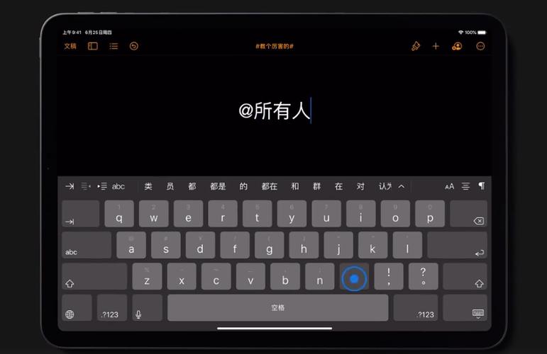 在ipad上输入口令是什么意思图标