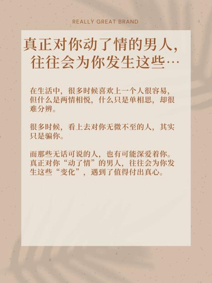动了真感情是什么意思图标