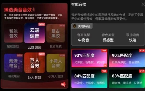 全民k歌vip音效图标