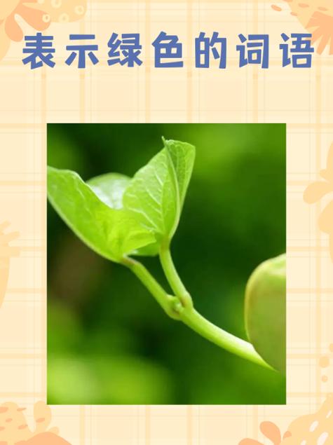 绿色三个点的悬浮窗是什么图标
