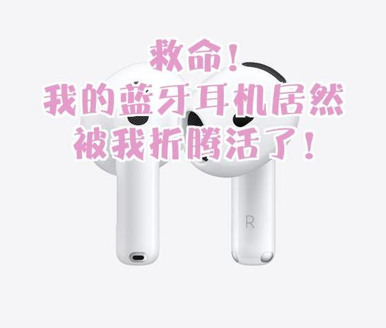 蓝牙耳机盒在家里找不到了怎么办截图