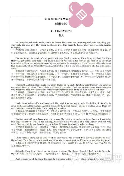 黑布林双胞胎全文翻译图标