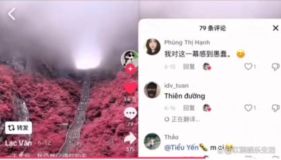 网上最近比较火的短视频图标