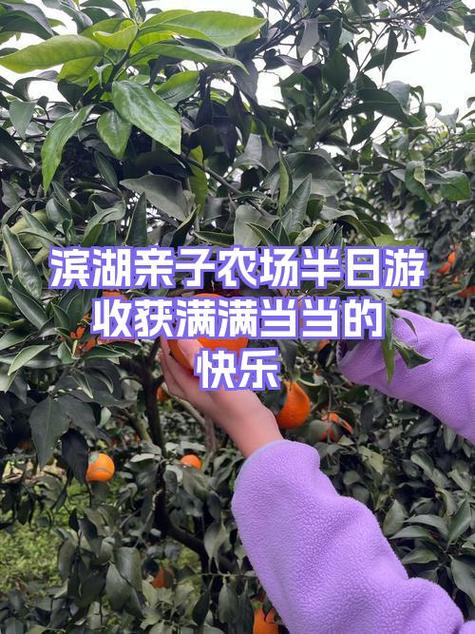 果园聊天不能随便聊天吗图标