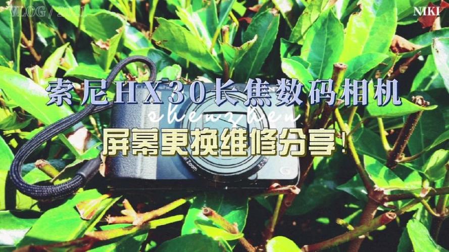 索尼相机打开屏幕不显示画面图标