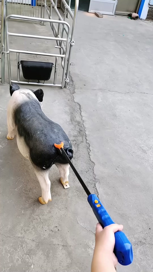 赶猪最好的办法怎样赶图标