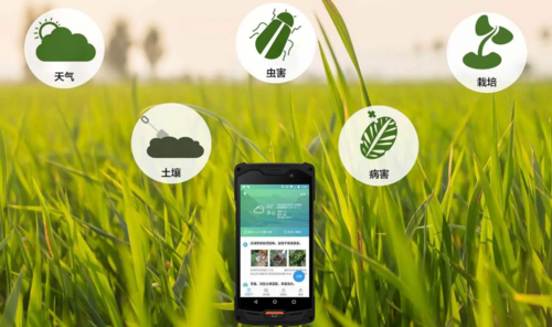 抓包精灵app安装教程图标