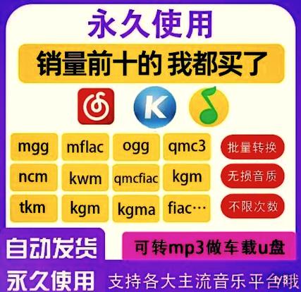 加密音乐怎么破解
