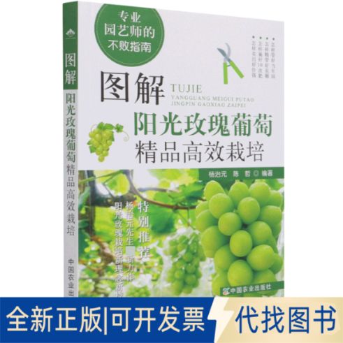 阳光玫瑰葡萄露天种植截图