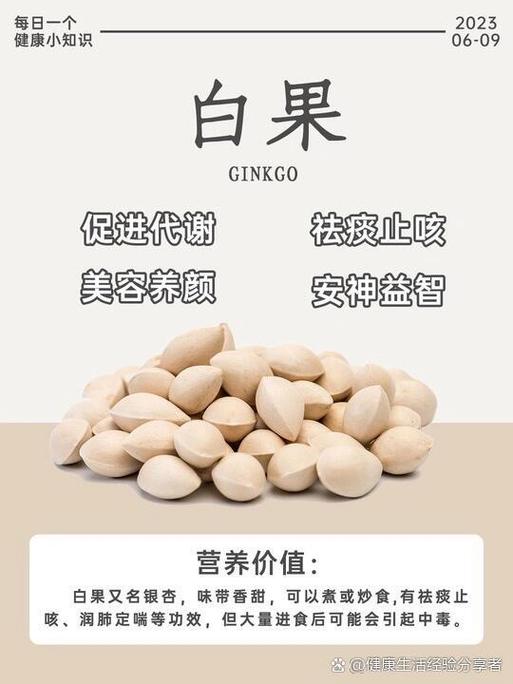 白果的功效与作用图标