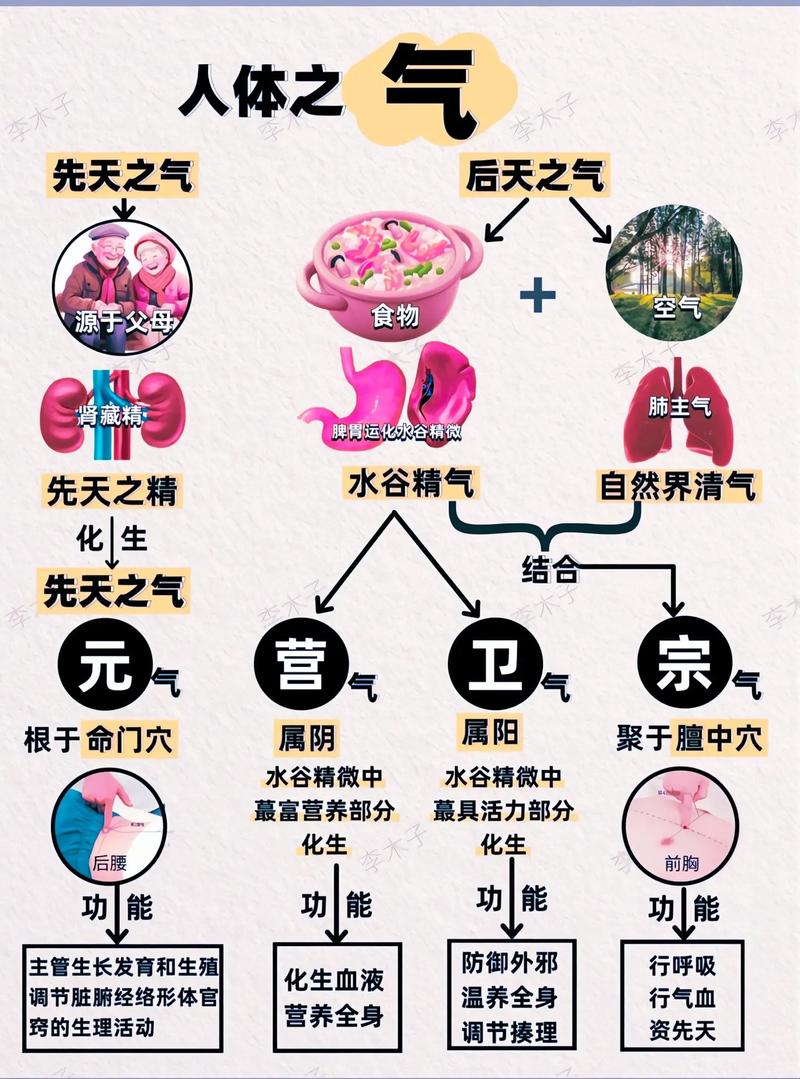 罡气对人身体有伤害吗图标