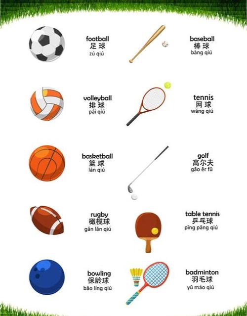 球类大全带名字图标