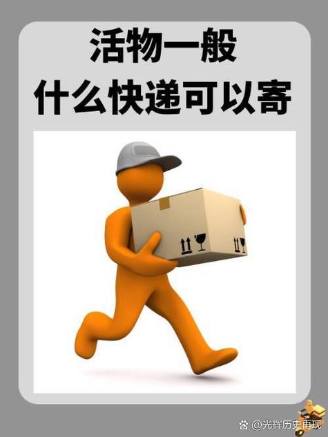 收快递的法律规定截图