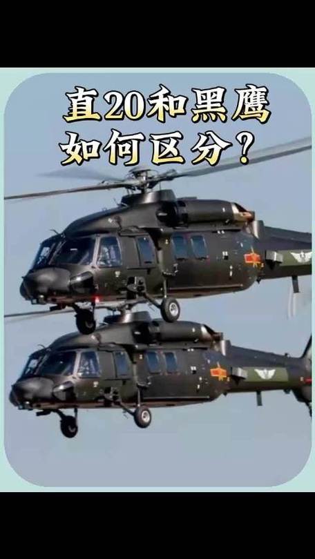 黑鹰代表什么意思图标