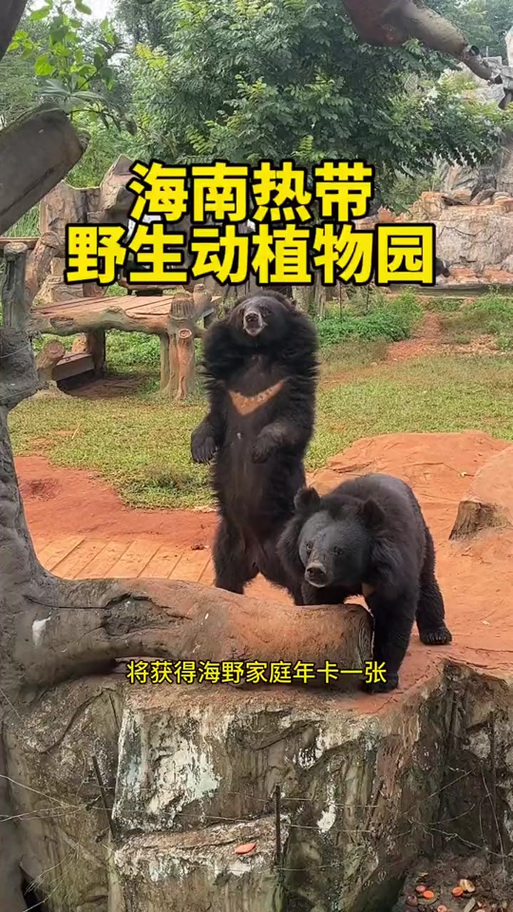 海南野生动植物园门票图标