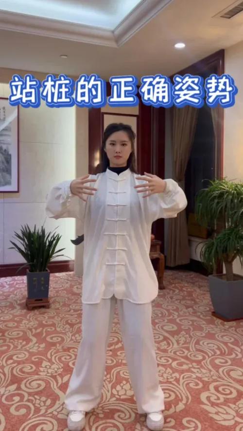 站桩方法截图