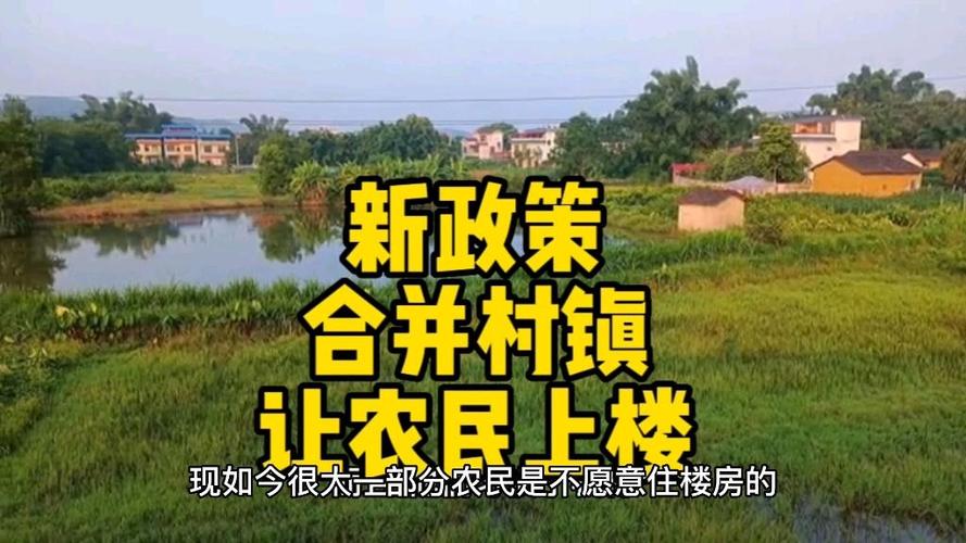 中央政策农村村镇合并