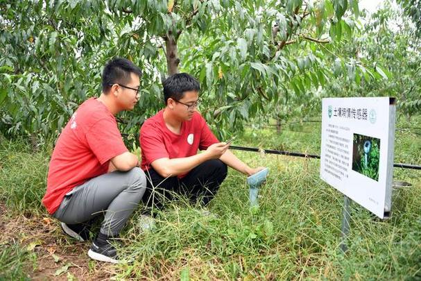 承包土地种植果园赚钱吗截图