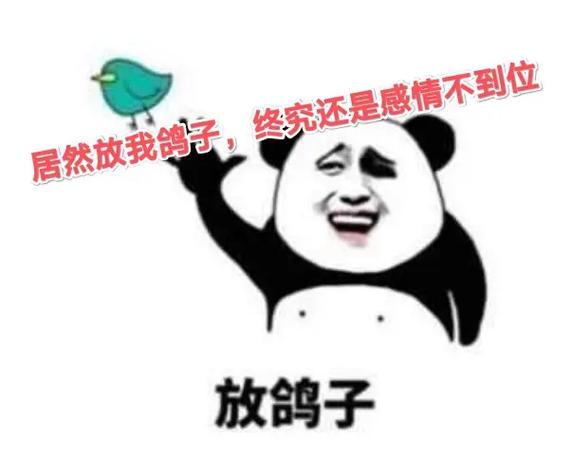 对付放鸽子最狠的一招图标