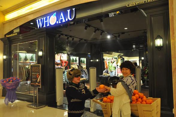 韩国逗号品牌vs韩国who.a.u品牌哪个档图标