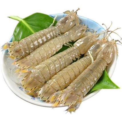 濑尿虾(皮皮虾)图标