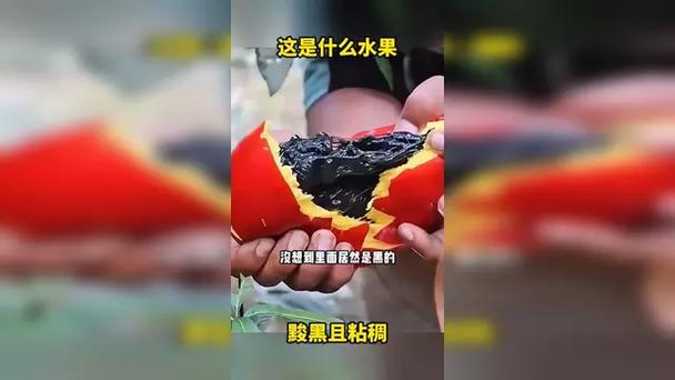 为什么水果视频安装不了呢图标