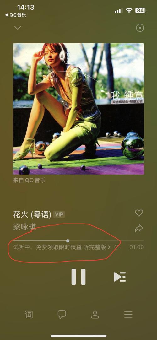 qq音乐vip才能听的歌曲图标