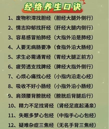 十二经络歌诀顺口溜图标