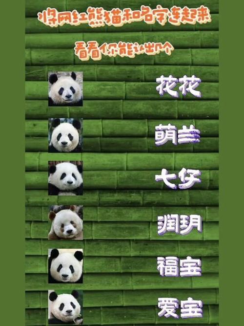 免费下载熊猫连连看